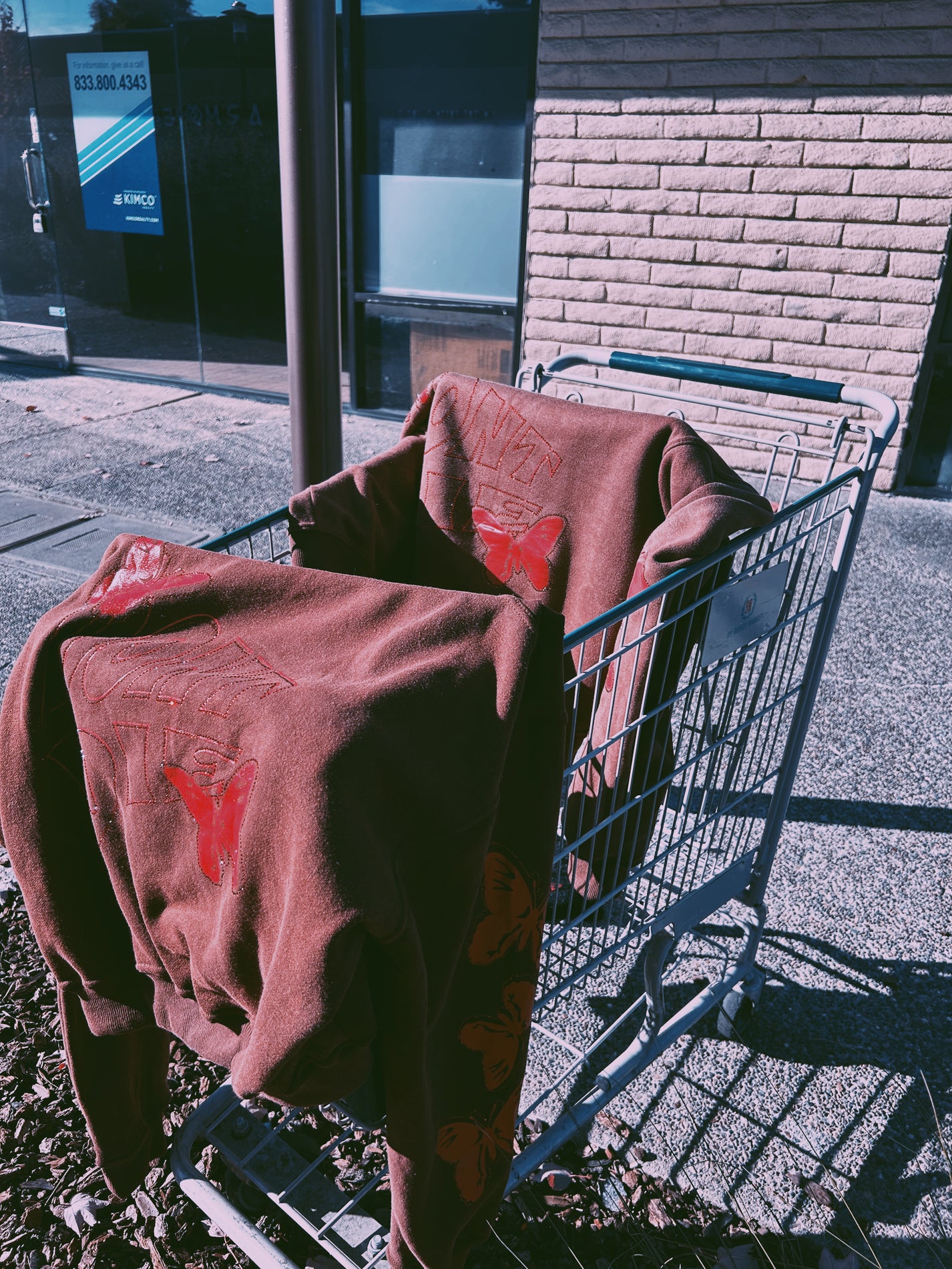 Metamorphosis Phase II Hoodie – DONTDIECLOTHING